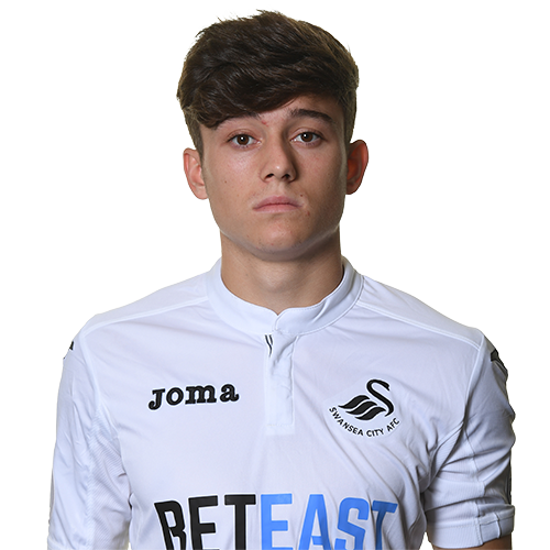 Wales – Voetbal Database